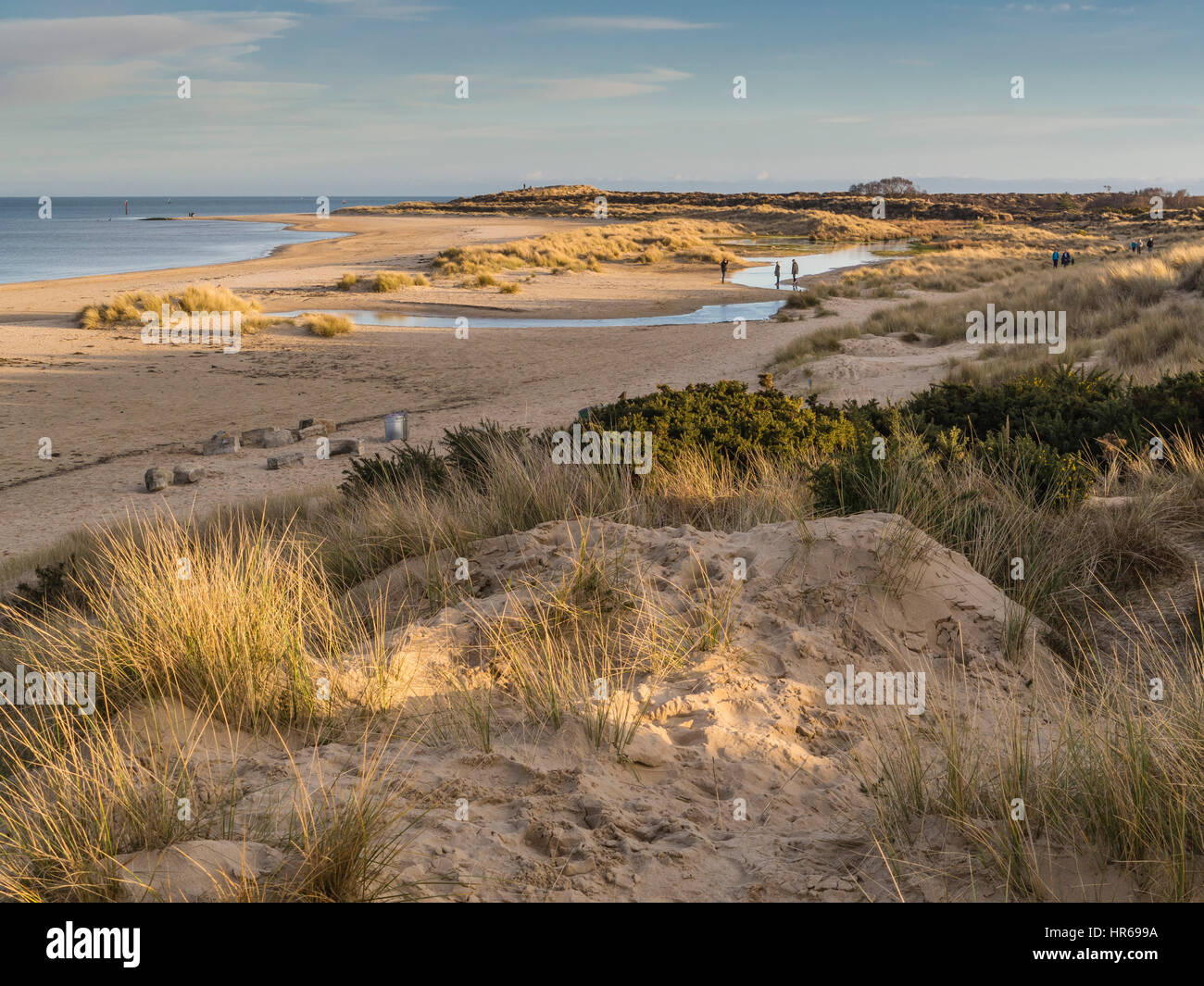Studland Heath and Shell Bay Beach with Sand Dunes, Poole Bay, Dorset ...