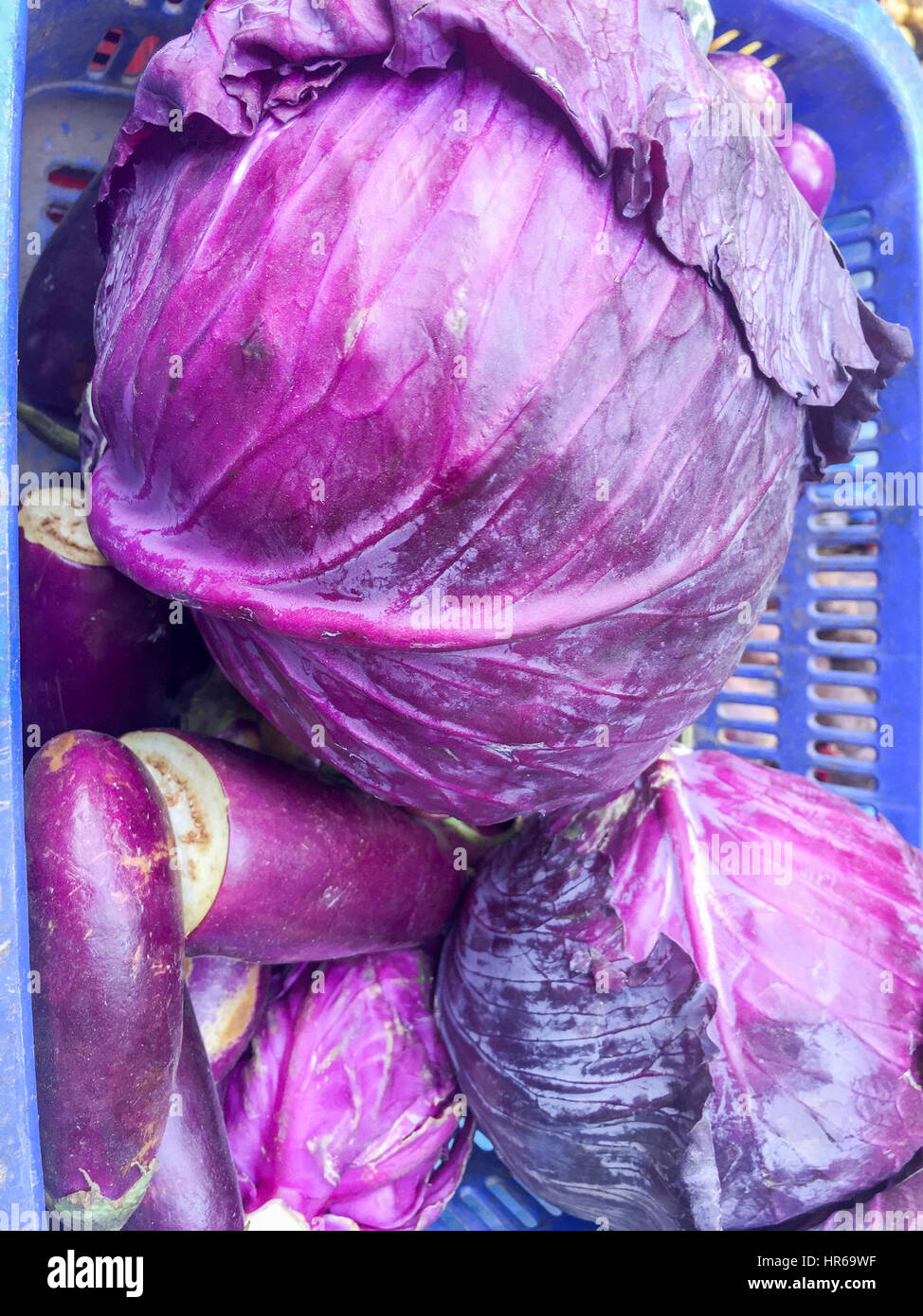 Purple cabbage on market display Stock Photo - Alamy