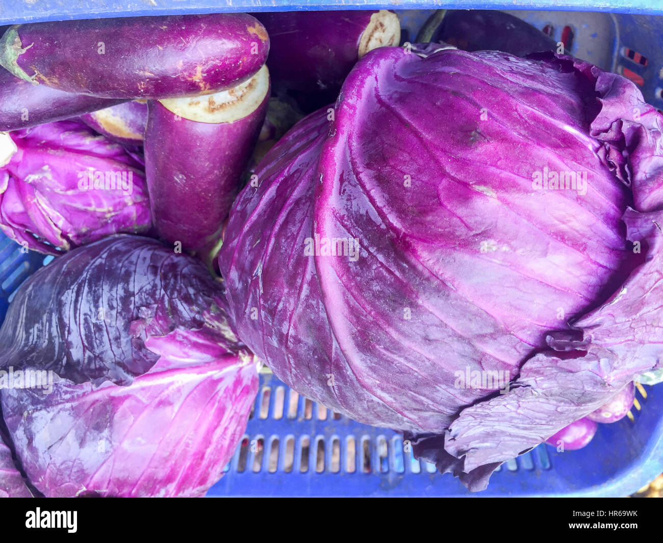 Purple cabbage on market display Stock Photo - Alamy
