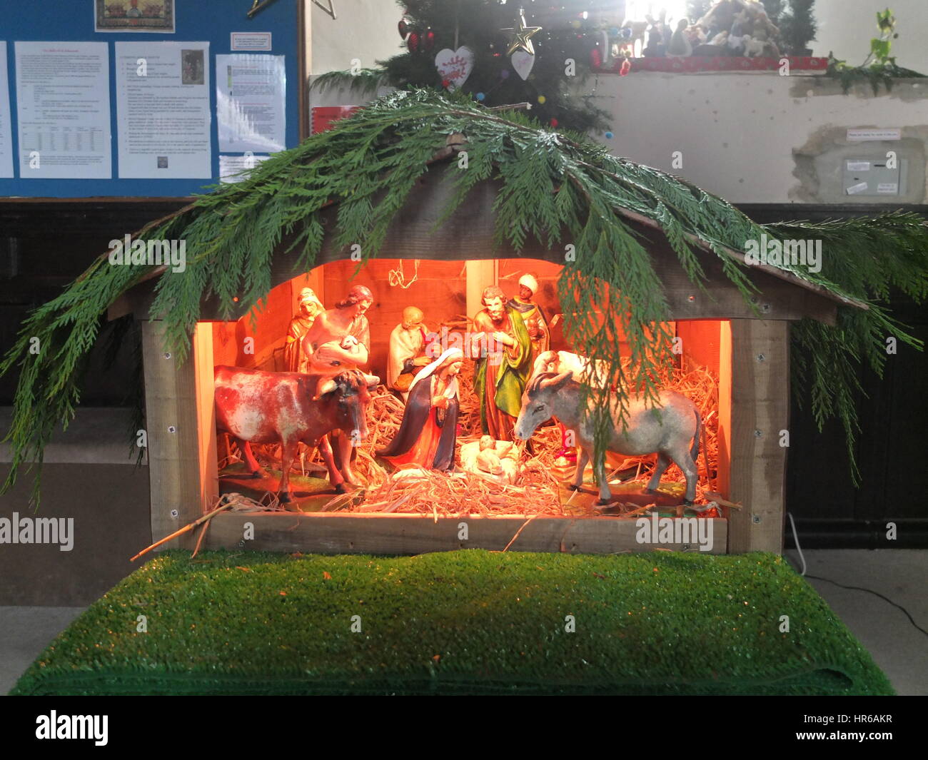 An illuminated model nativity scene draped with evergreens in a church ...