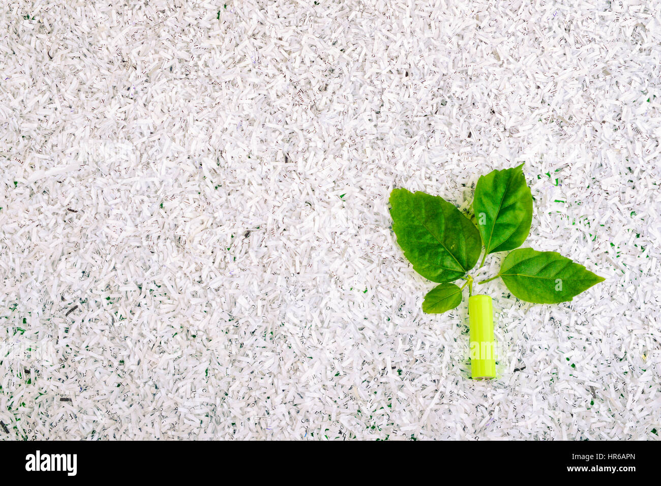 small plant made of green power cell and fresh leaves on shredded white ...