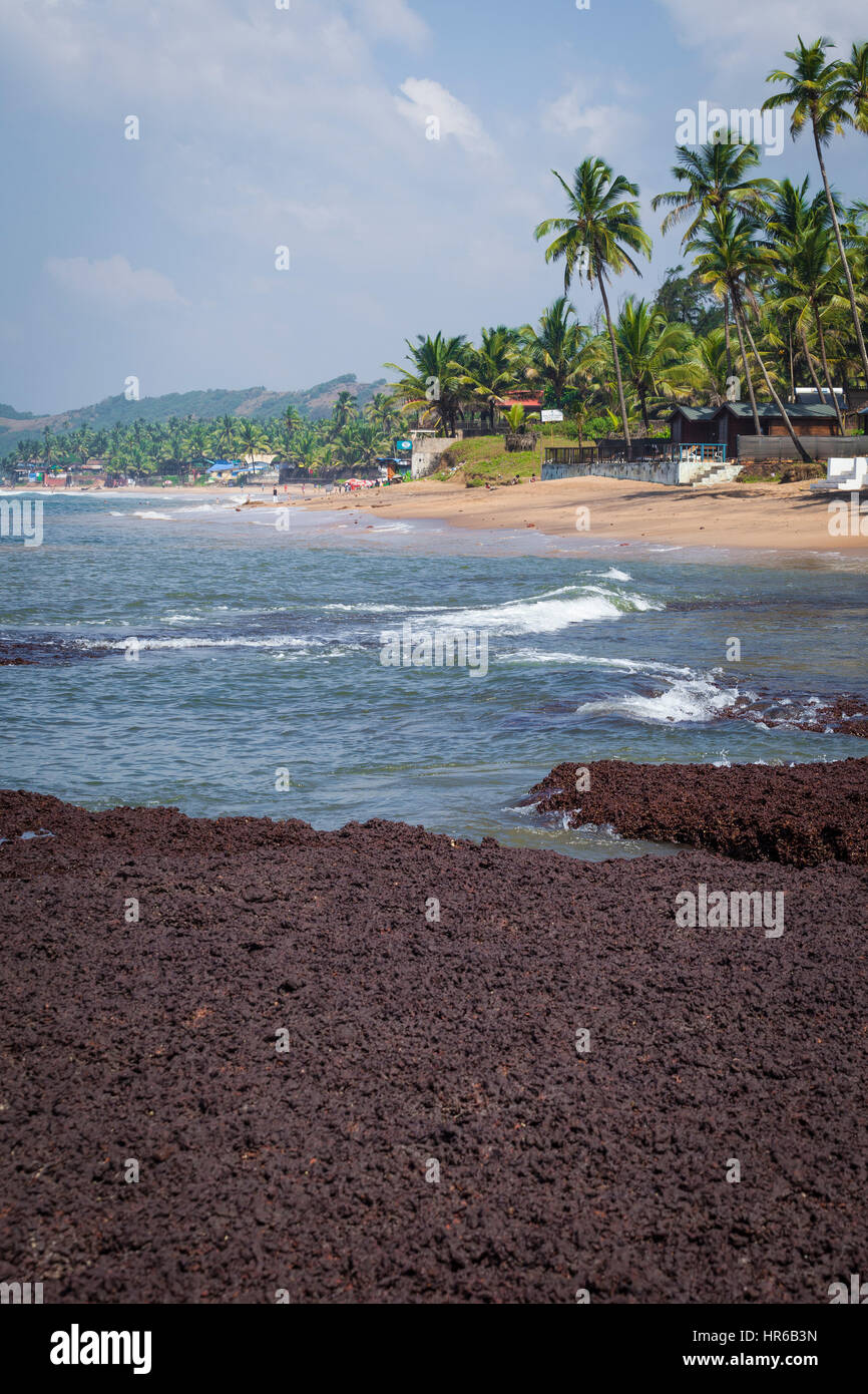Anjuna Beach famous tourist destination, Goa, India Stock Photo - Alamy