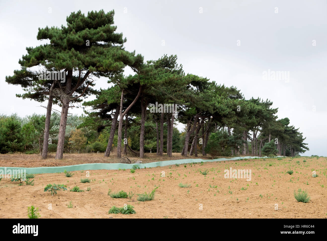 A low level fence to allow wild animals to be counted before work can ...