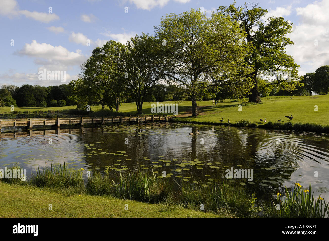 Broxbourne hertfordshire hi-res stock photography and images - Alamy