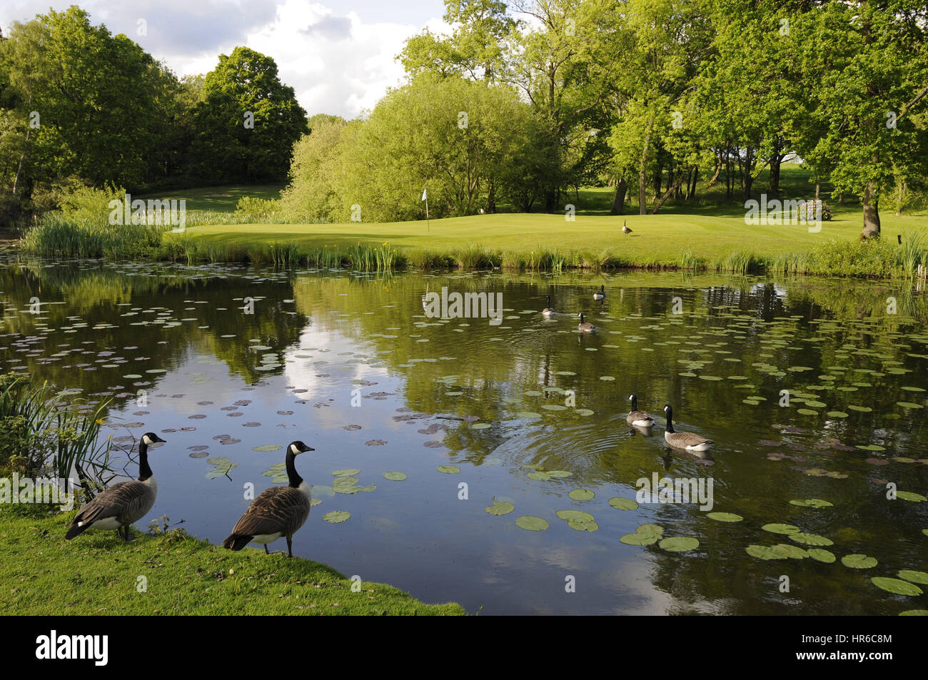 Broxbourne hi-res stock photography and images - Alamy