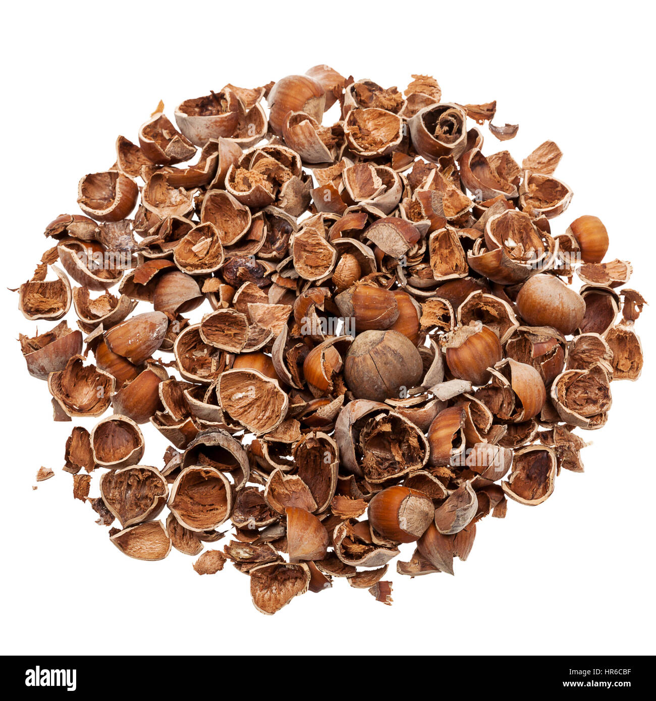 Pile of empty nutshells isolated on white background Stock Photo - Alamy