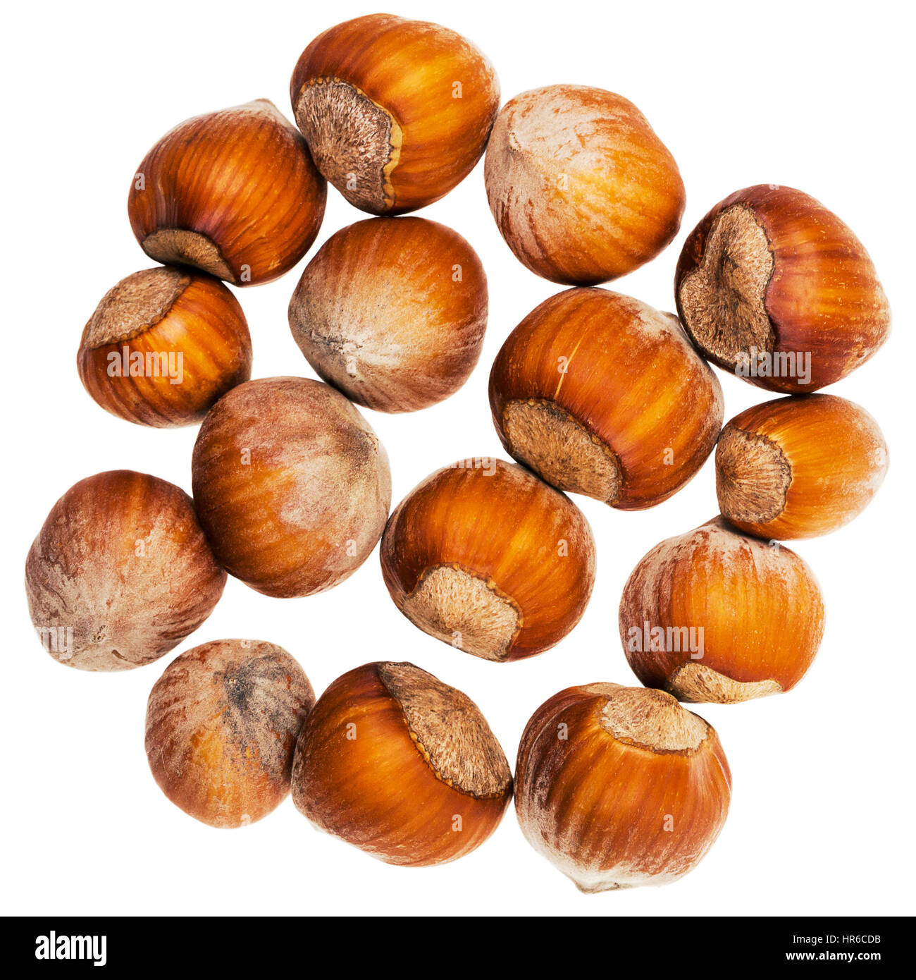 The heap of hazelnuts isolated on white background Stock Photo - Alamy