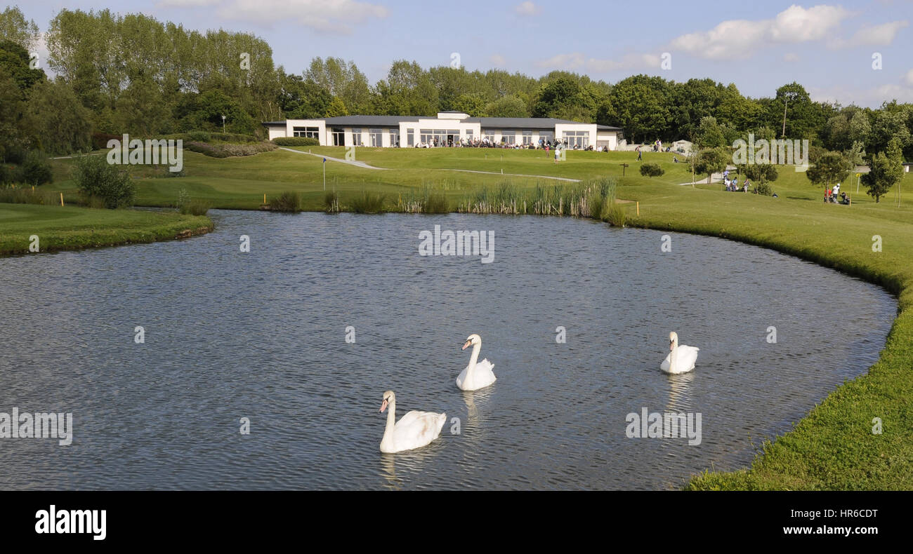 View of the lake beside the 18th Green with Swans and Clubhouse in the ...
