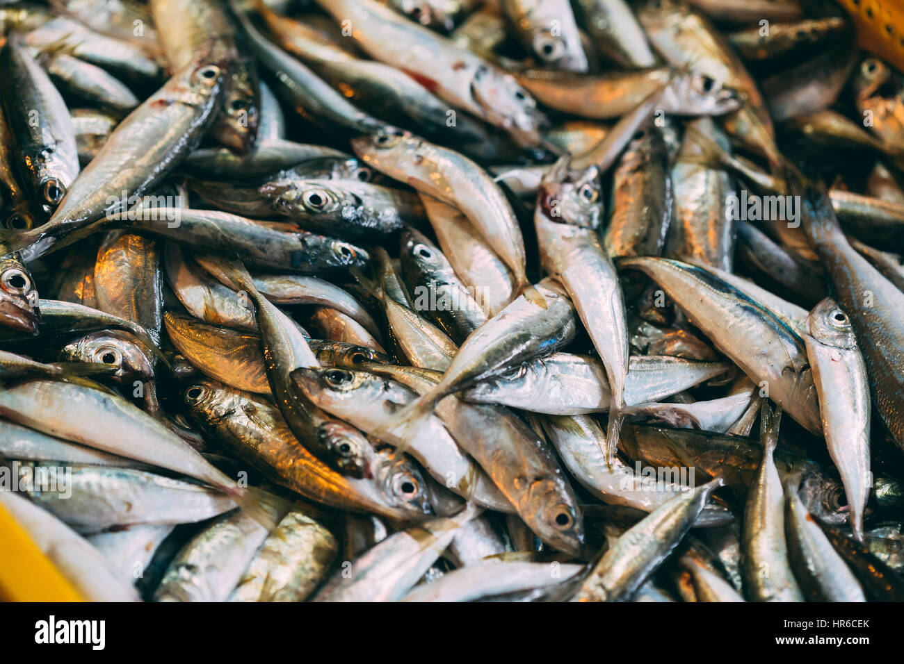 Fresh seafood display supermarket hi-res stock photography and images ...
