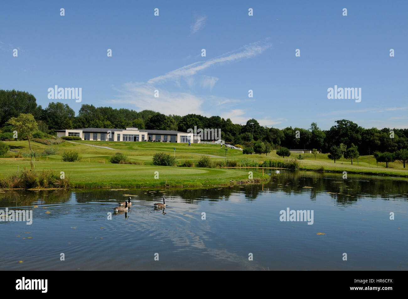 View of the lake beside the 18th Green with Canada Geese and Clubhouse ...