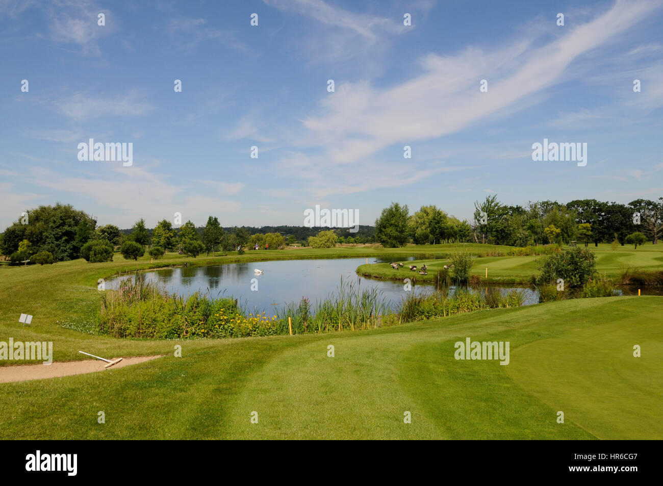 The shire london golf club hi-res stock photography and images - Alamy