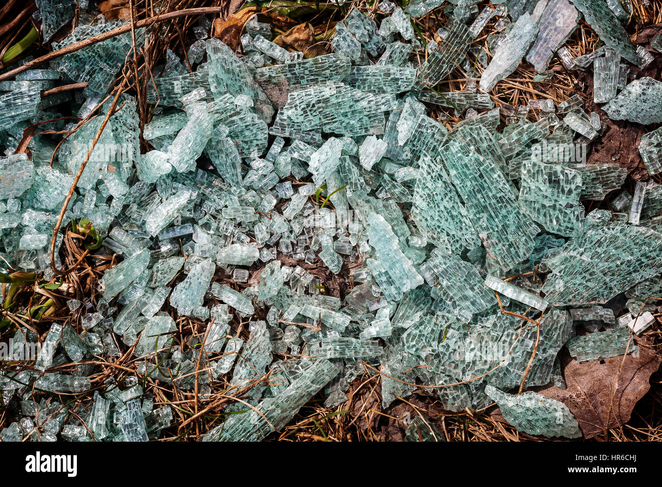 Broken glass on the ground closeup Stock Photo - Alamy