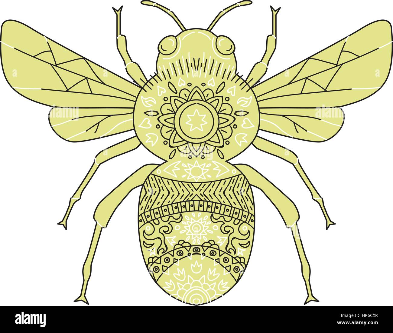 Bumblebee on white Stock Vector Images - Alamy