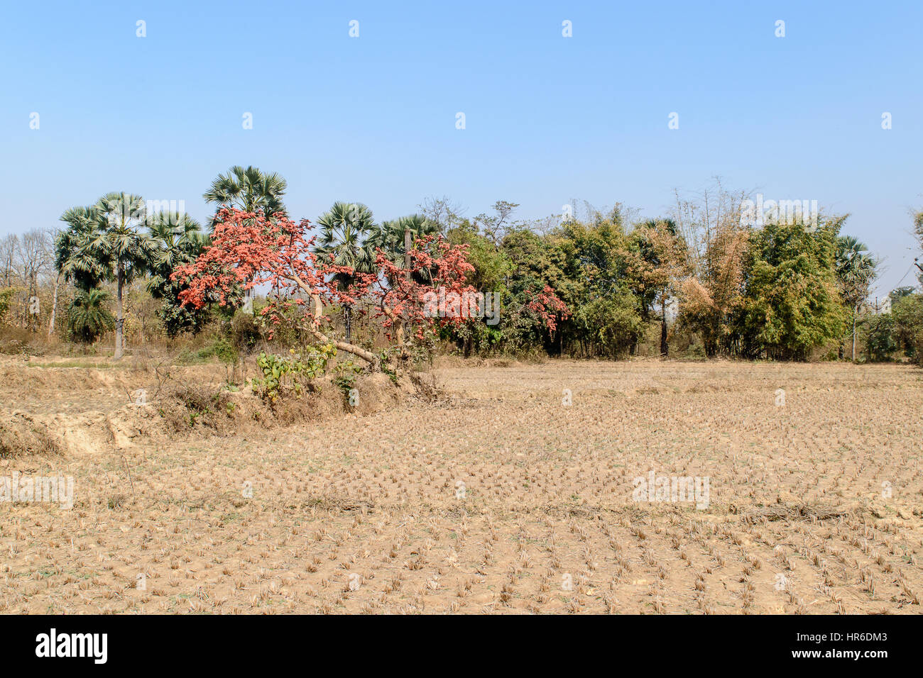 Barren agriculture land Stock Photo - Alamy