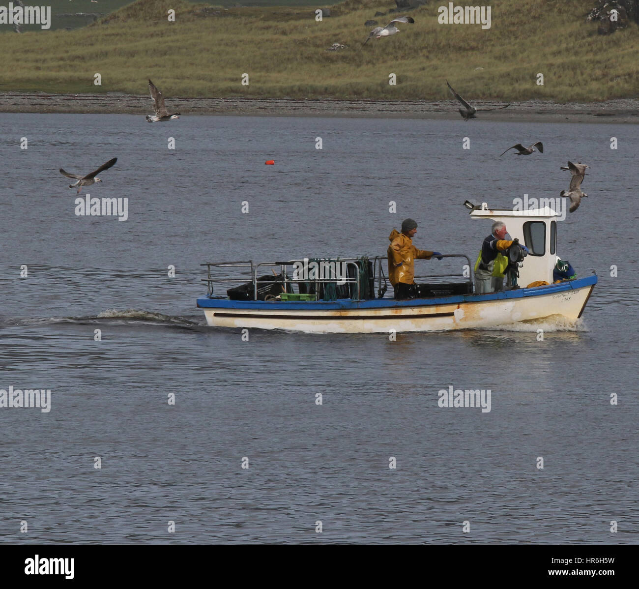 Lobster fishing off Valentia Island, County Kerry, Ireland Stock Photo ...