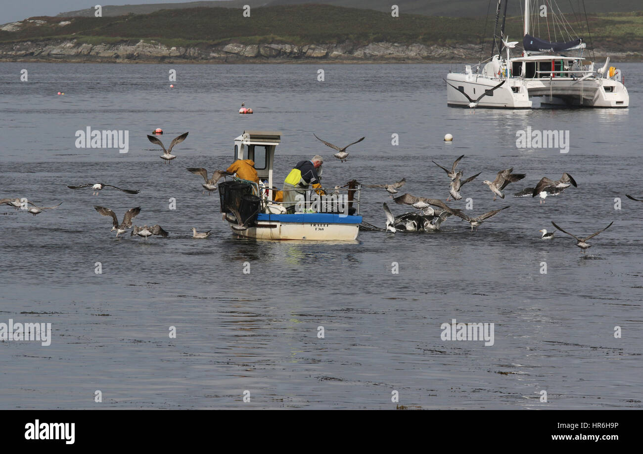 Lobster fishing off Valentia Island, County Kerry, Ireland Stock Photo ...