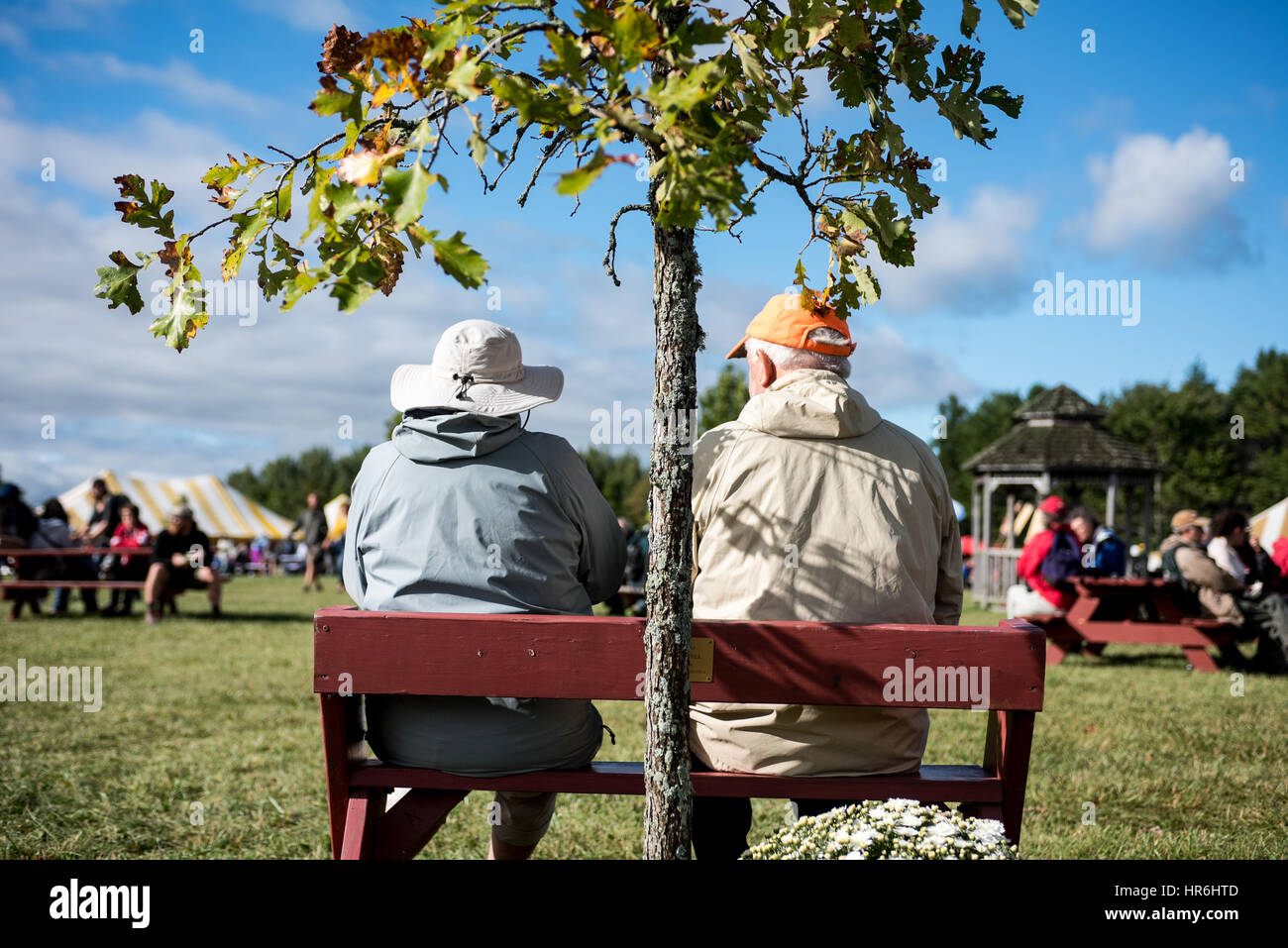 common ground country fair is a unique celebration of rural new england ...