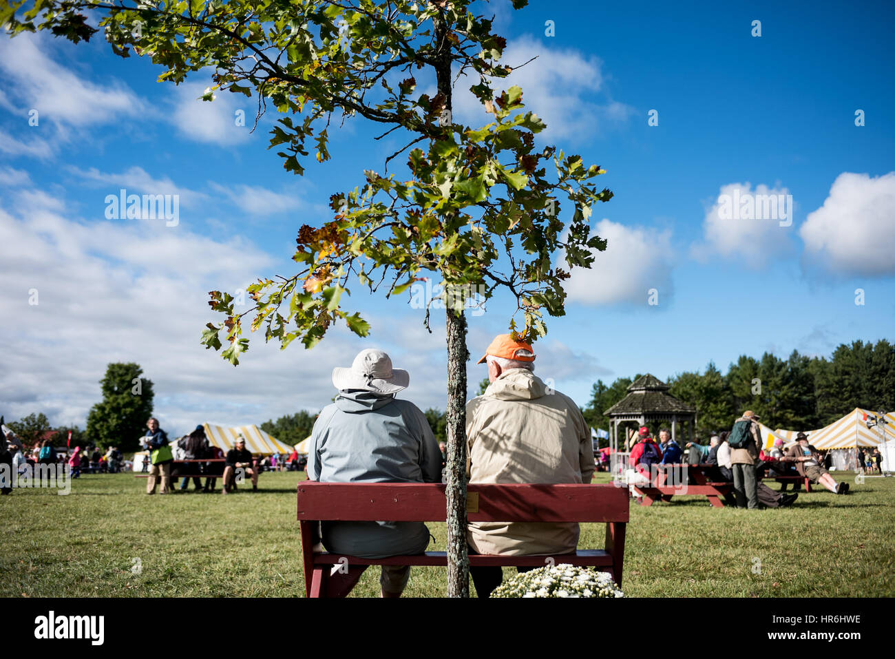 common ground country fair is a unique celebration of rural new england ...