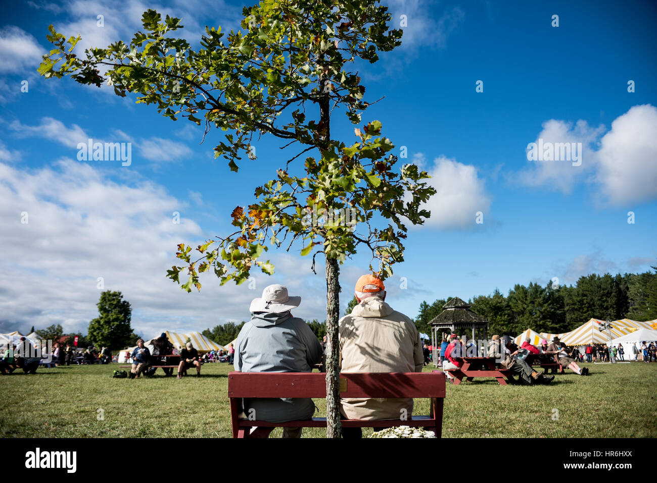 common ground country fair is a unique celebration of rural new england ...