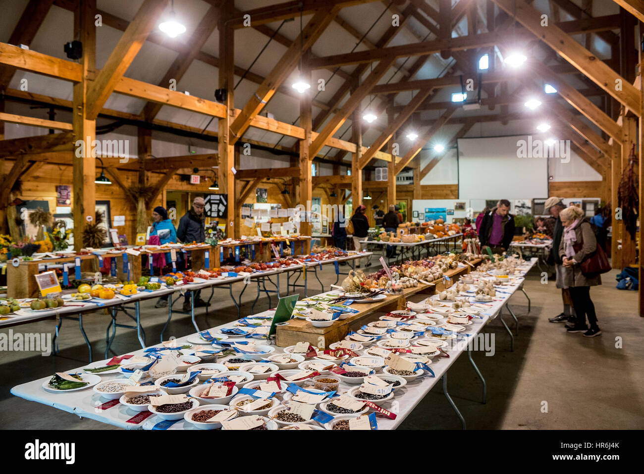 common ground country fair is a unique celebration of rural new england ...