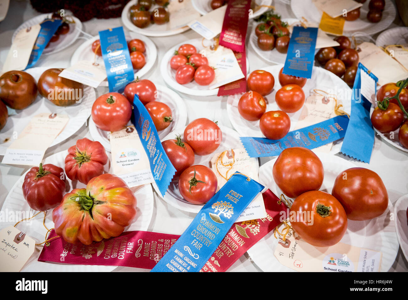 common ground country fair is a unique celebration of rural new england ...