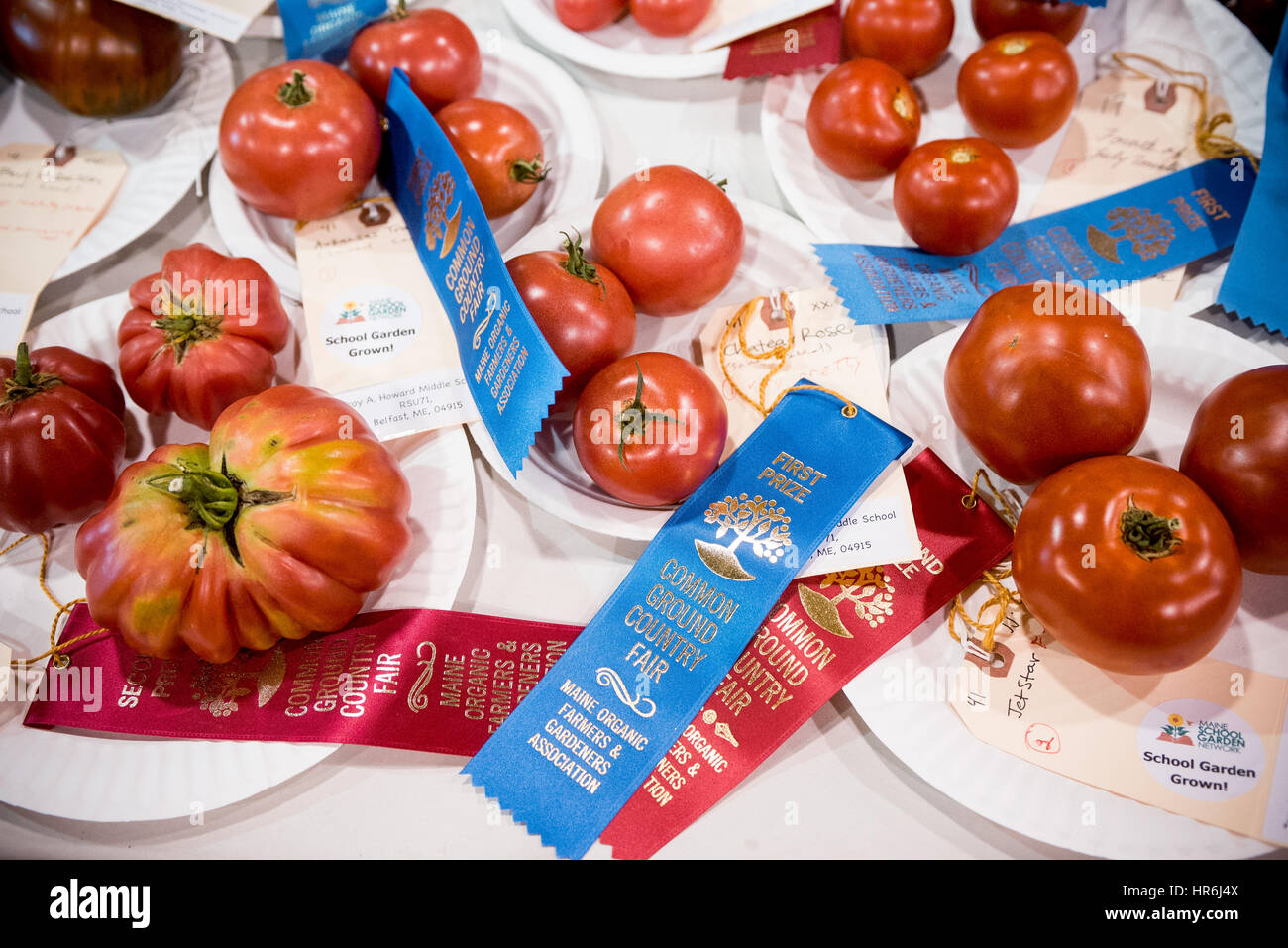 common ground country fair is a unique celebration of rural new england ...