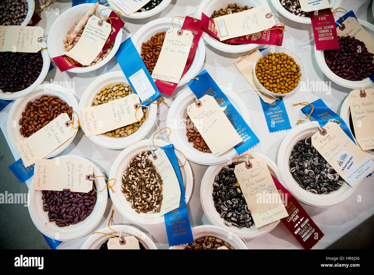 common ground country fair is a unique celebration of rural new england ...