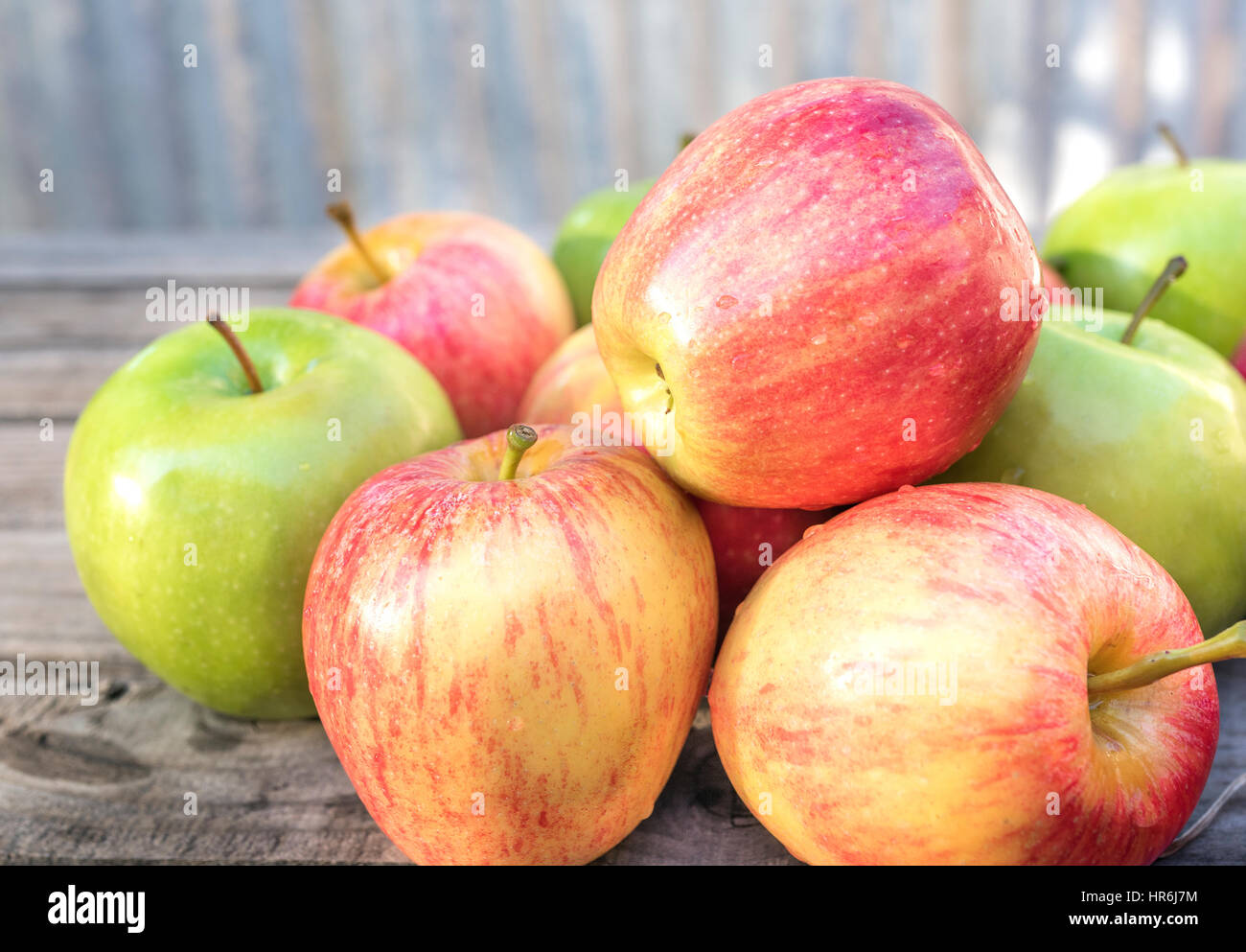 Stem organic hi-res stock photography and images - Alamy
