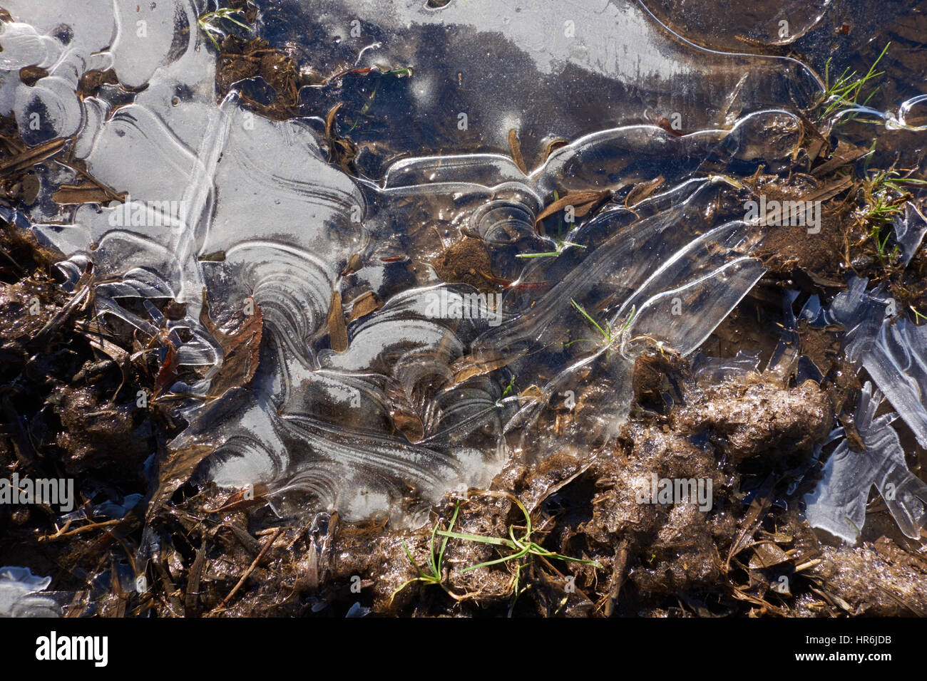 Thin layr of ice over soil Stock Photo - Alamy