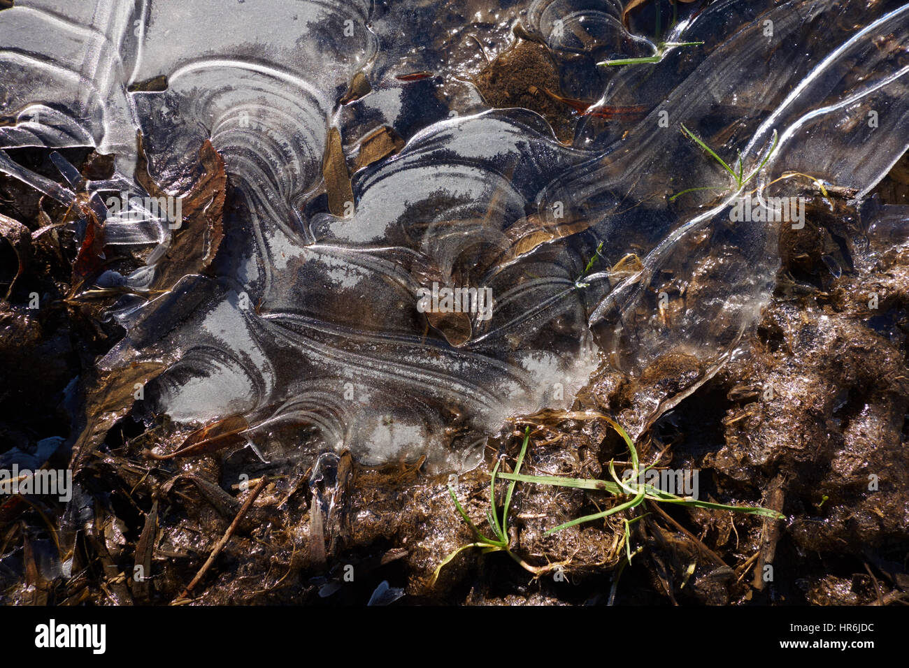 Ice of the soil hi-res stock photography and images - Alamy