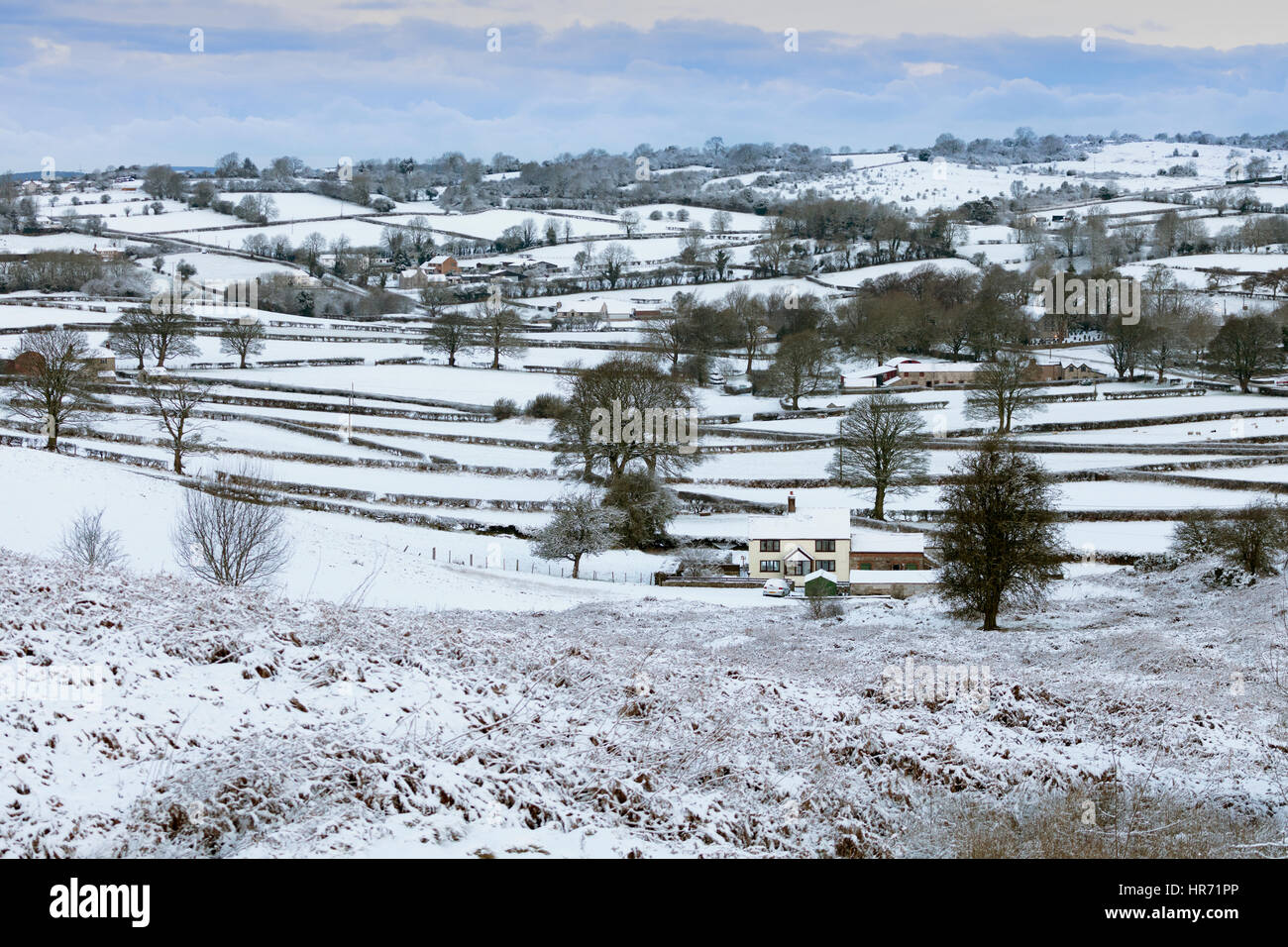 A welsh cottage surrounded by a snow covered landscape in rural Flintshire near to the village ...