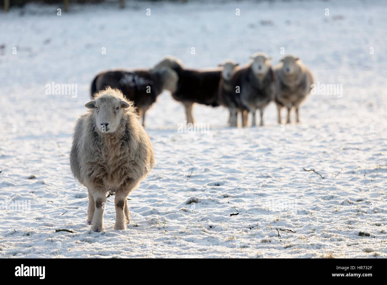 Weather and farming hi-res stock photography and images - Alamy