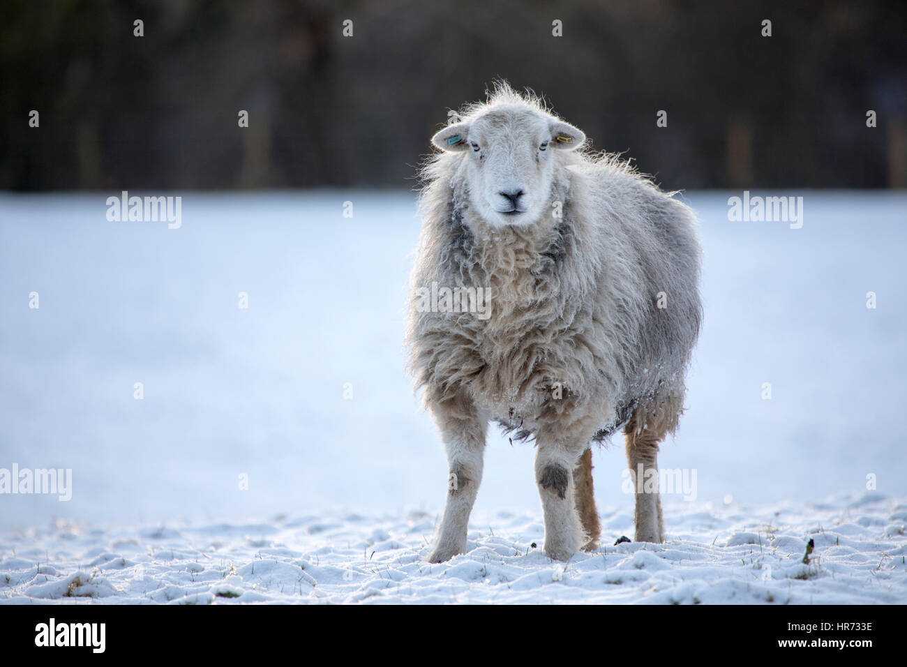 Weather and farming hi-res stock photography and images - Alamy