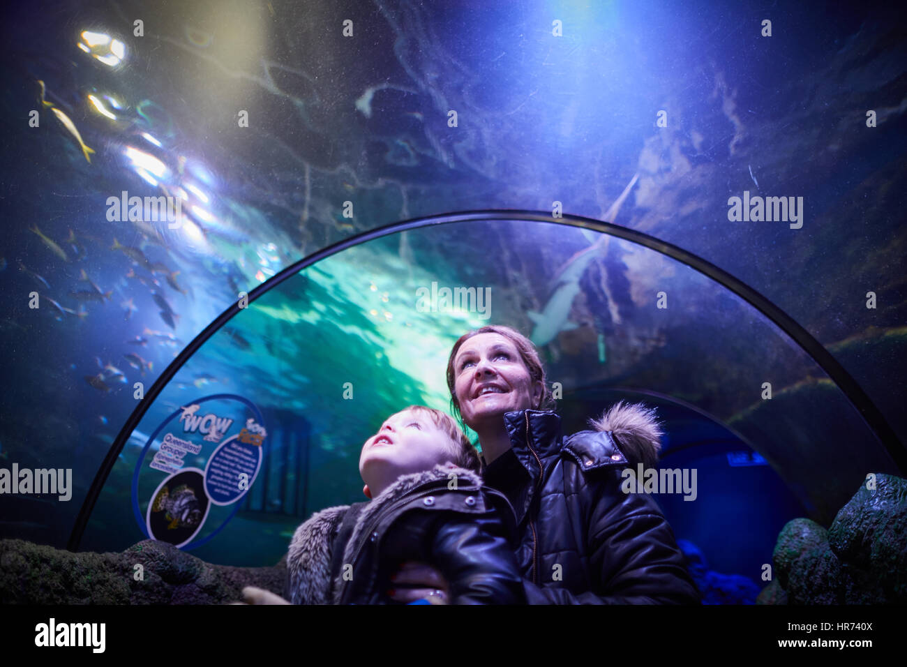 Aquarium child uk hi-res stock photography and images - Alamy