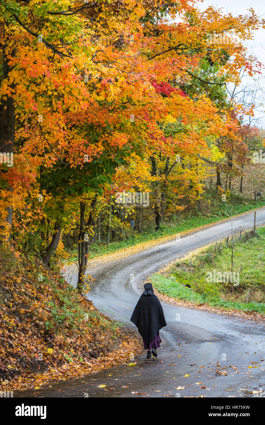 An Amish lady walking on a road with fall foliage color near Strasburg ...