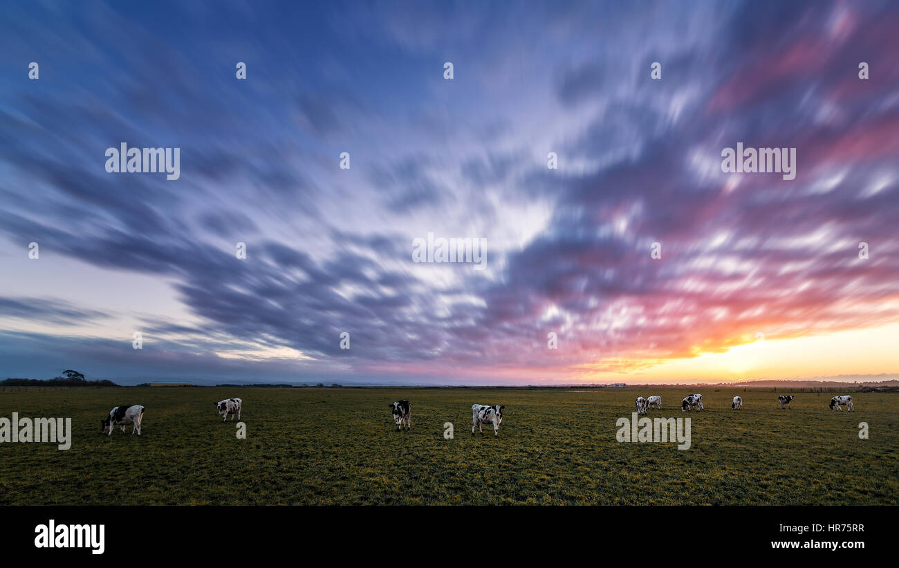 Sunset at the Farm, Color Image, Evening Stock Photo - Alamy