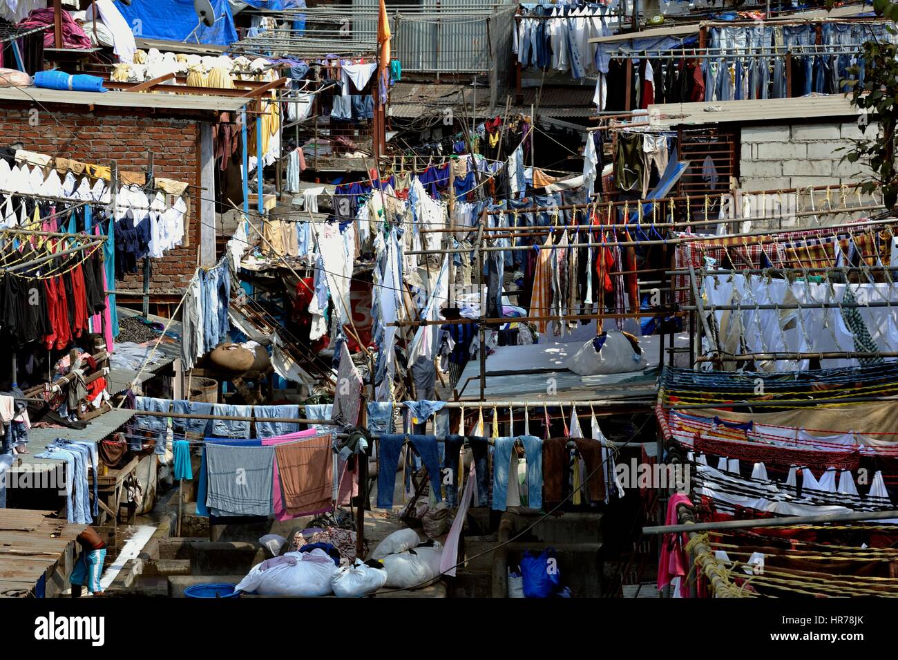 The laundry of Mumbai, India Stock Photo - Alamy