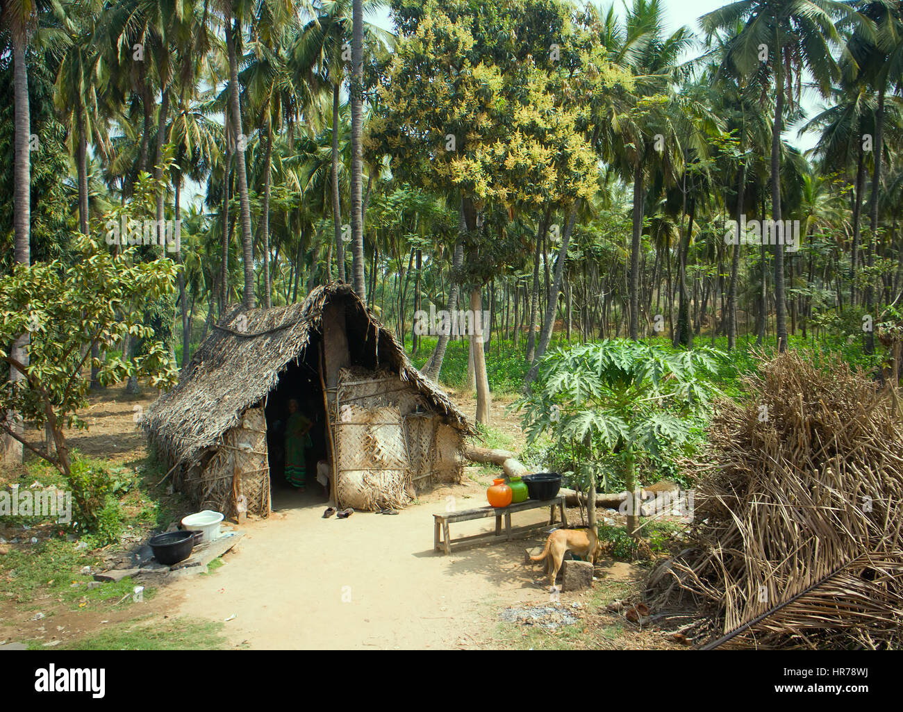 Ancient India Untouchables House