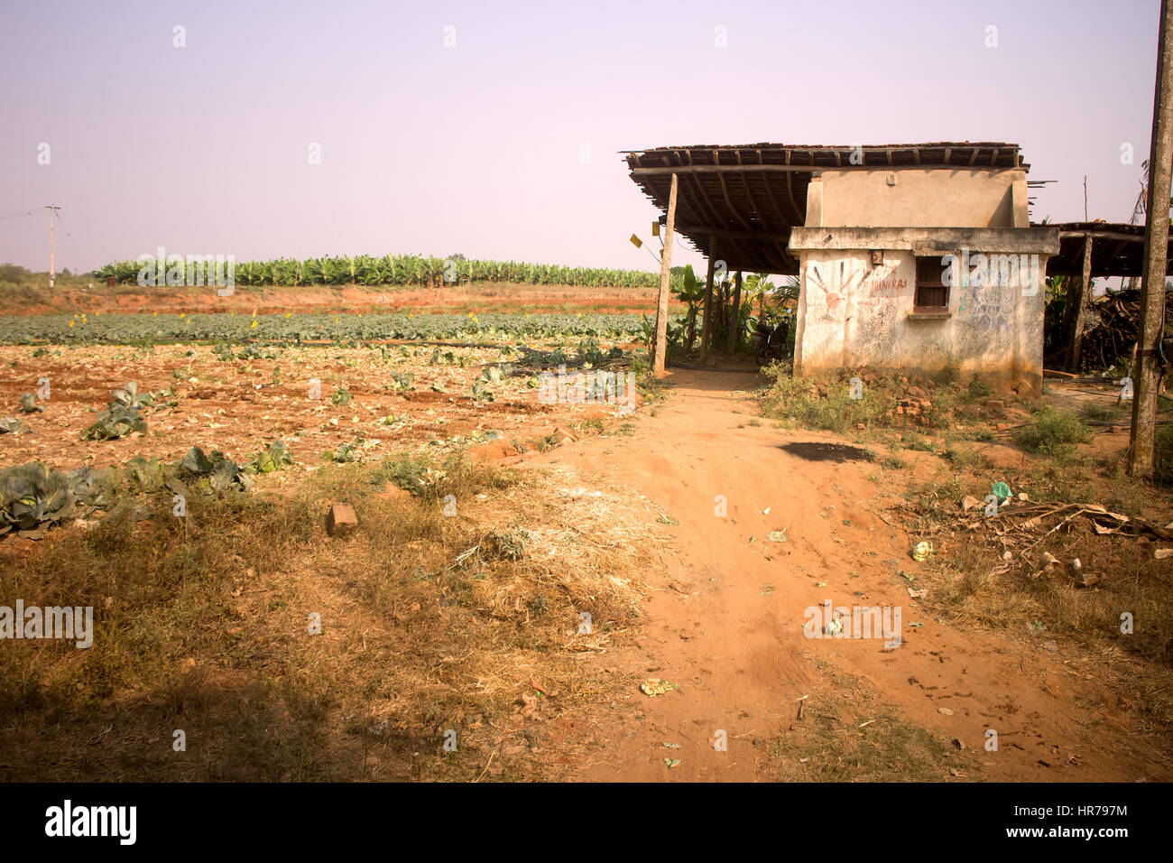 Poor Indian household (farm) 7. Andhra Pradesh, Anantapur Stock Photo ...