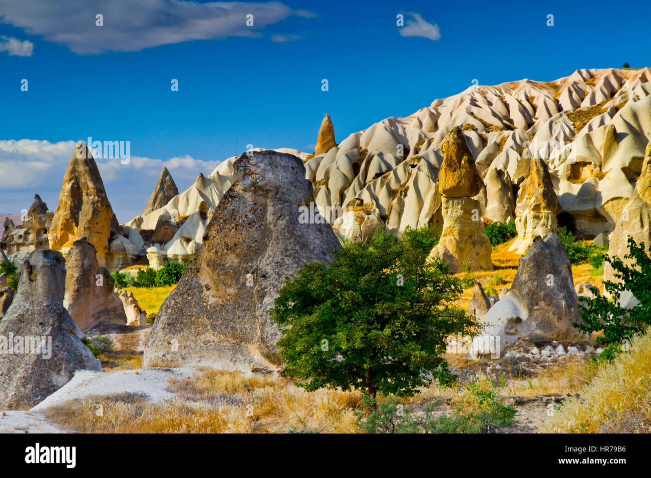 Fairy chimneys. Cappadocia Region. Nevsehir province. Turkey Stock ...