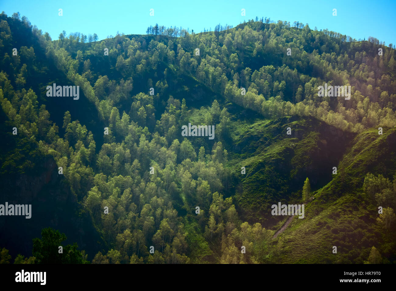 green mountain ridge scene. Altai mountain meadow low part Stock Photo ...