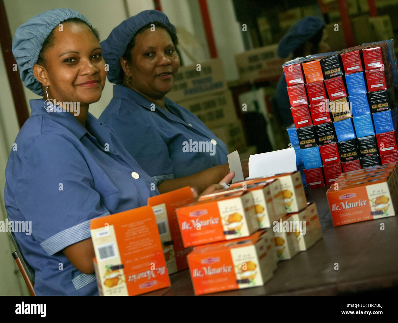 Women packaging tea, Mauritius, tea plantation, tea factory Bois Chéri ...