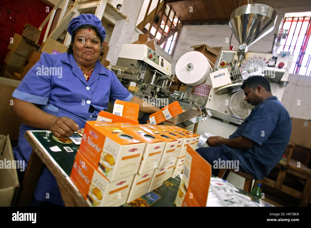 Women packaging tea, Mauritius, tea plantation, tea factory Bois Chéri ...