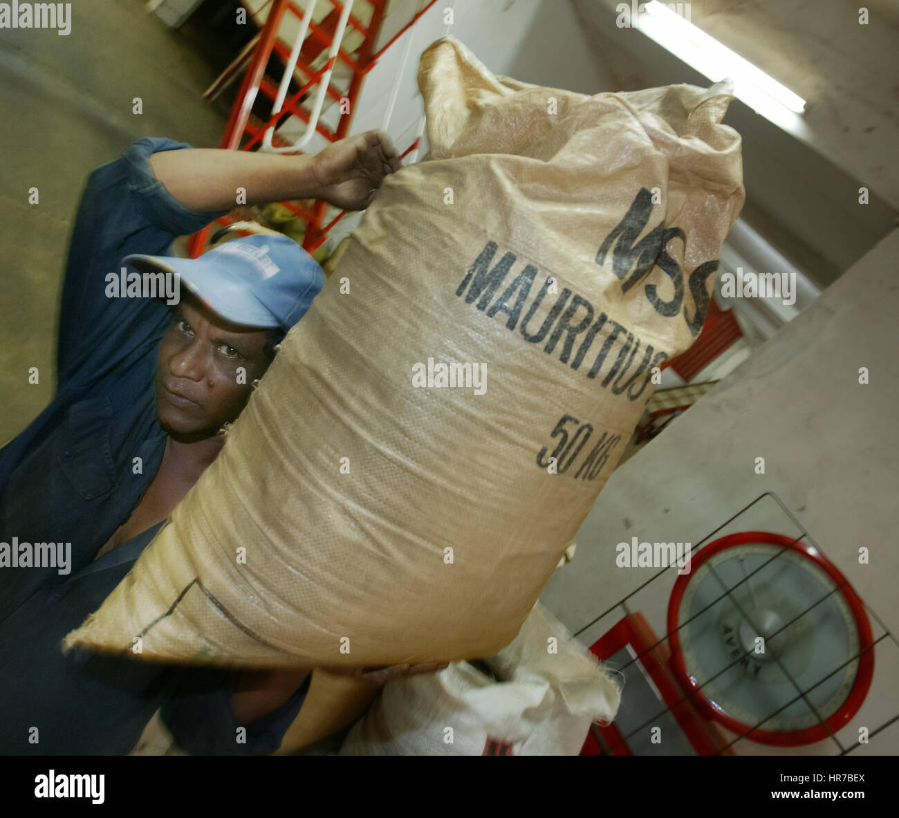 Tea plantation, tea factory, Bois Chéri, Mauritius, tea plantation ...