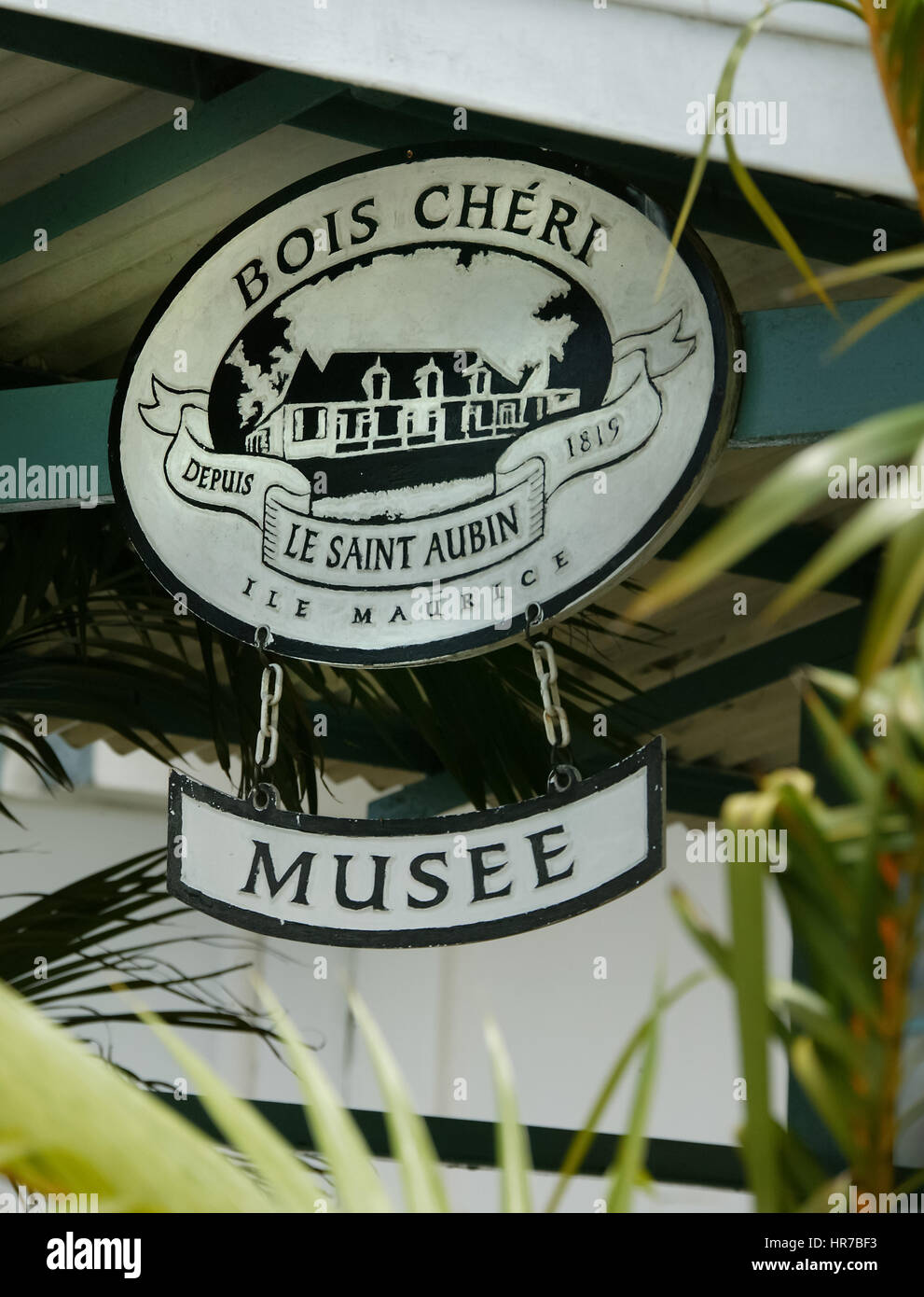 Mauritius, tea plantation, museum sign, poster, billboard, tea plant ...