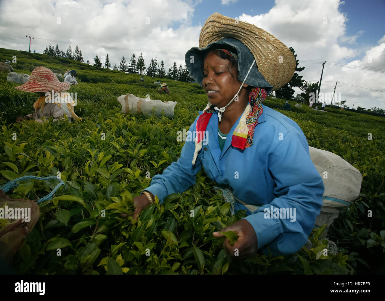 Teeroute hi-res stock photography and images - Alamy