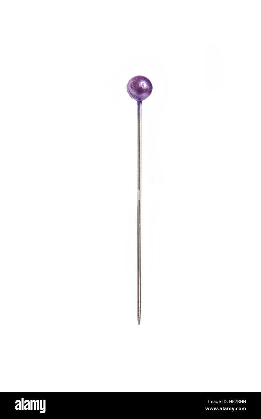 a single pin with a purple head on a white background Stock Photo - Alamy