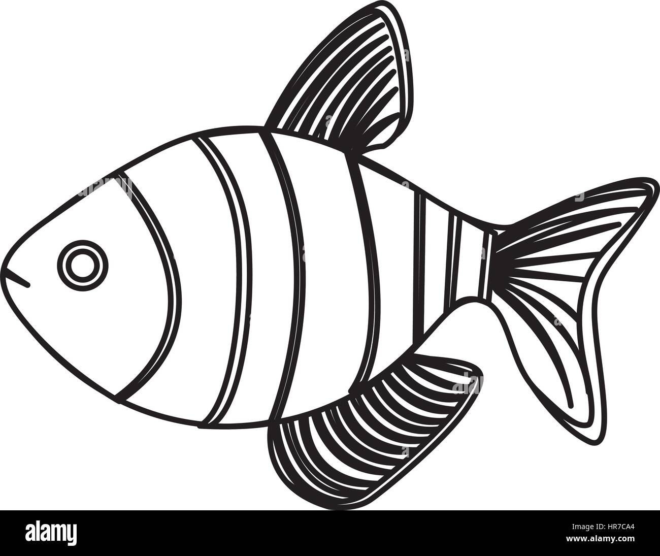 monochrome contour with striped fish Stock Vector Image & Art - Alamy