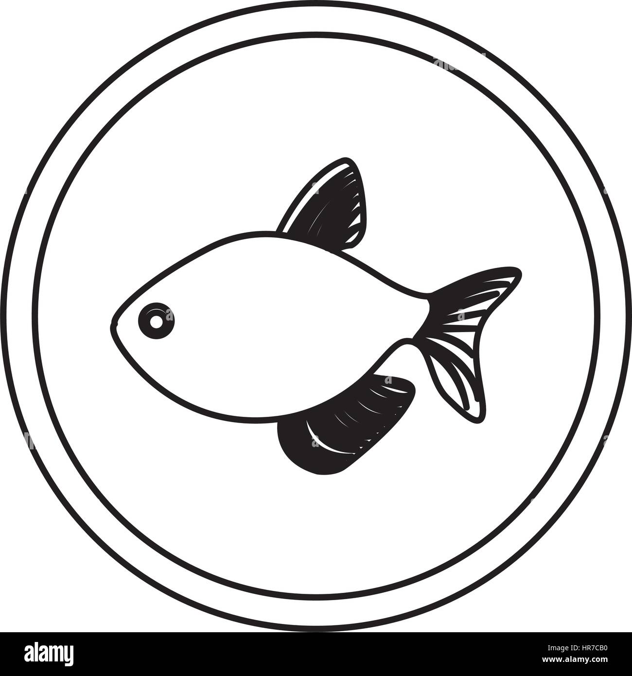 monochrome line contour with fish in circular frame Stock Vector Image ...
