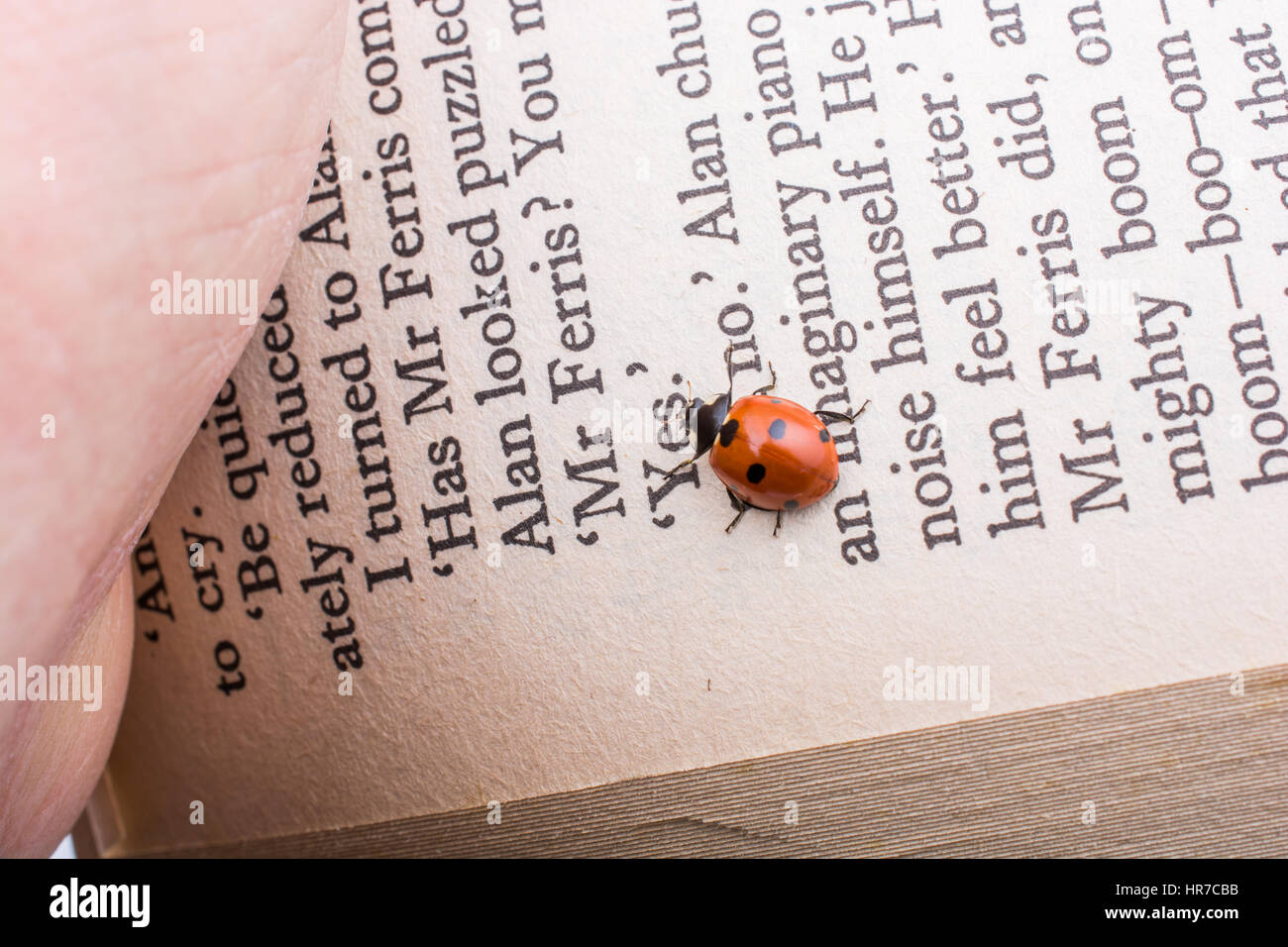 Beautiful photo of red ladybug walking on a book page Stock Photo - Alamy